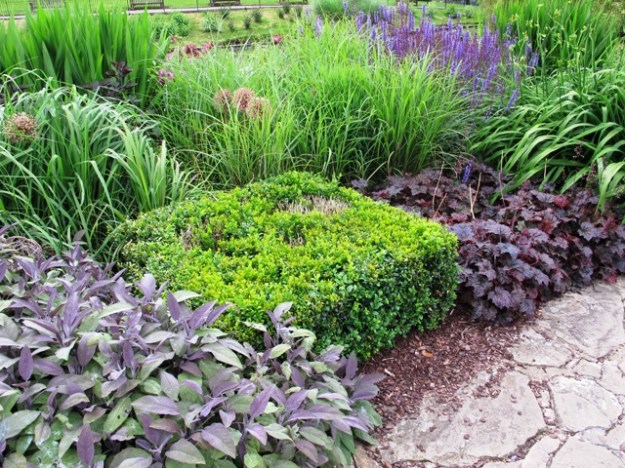 Modern directions in perennial planting patterns | Tikorangi The Jury ...