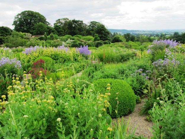 Modern directions in perennial planting patterns | Tikorangi The Jury ...