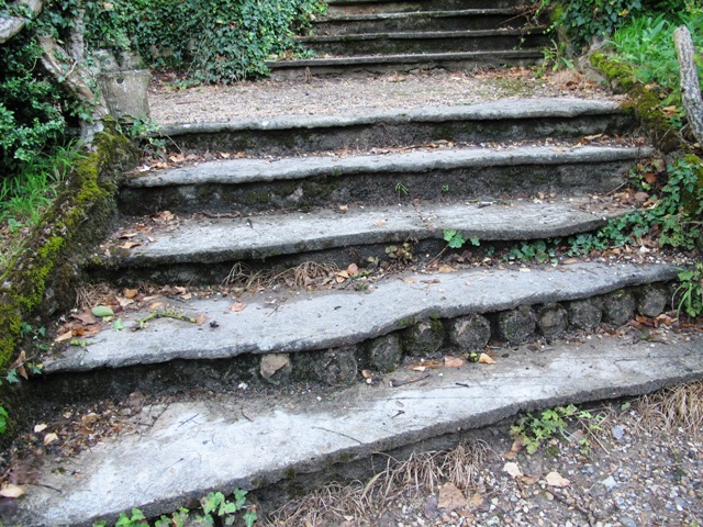 Stepping up and stepping down | Tikorangi The Jury Garden