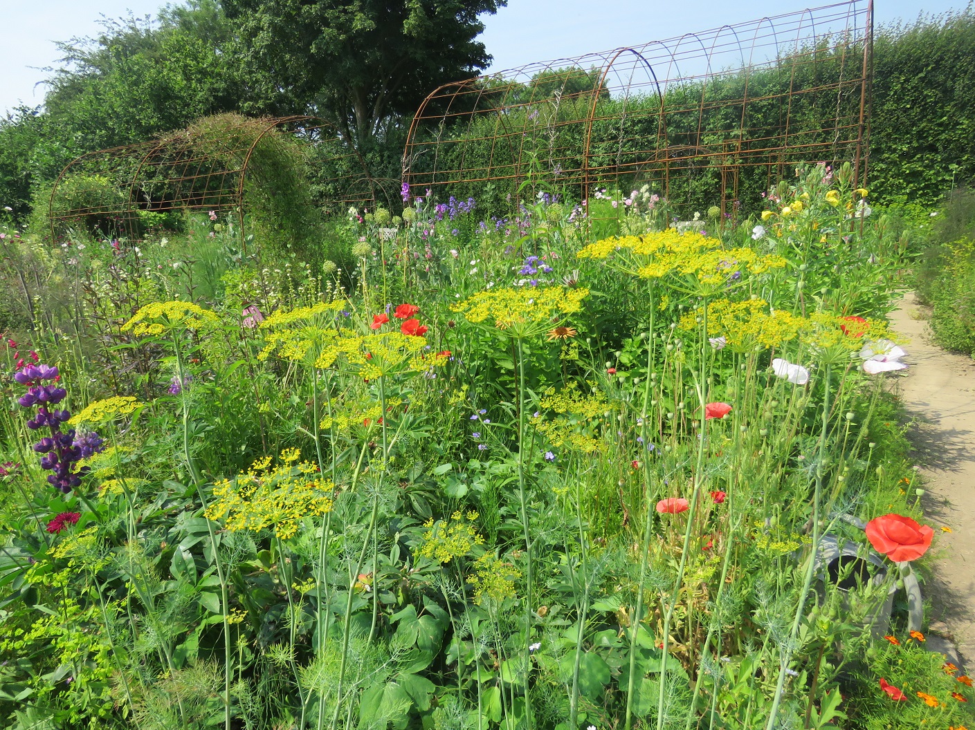 A modern French garden – Le Jardin Plume | Tikorangi The Jury Garden