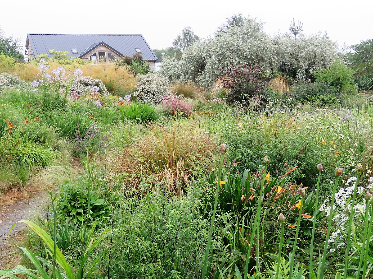 More naturalistic than wild at Wildside | Tikorangi The Jury Garden