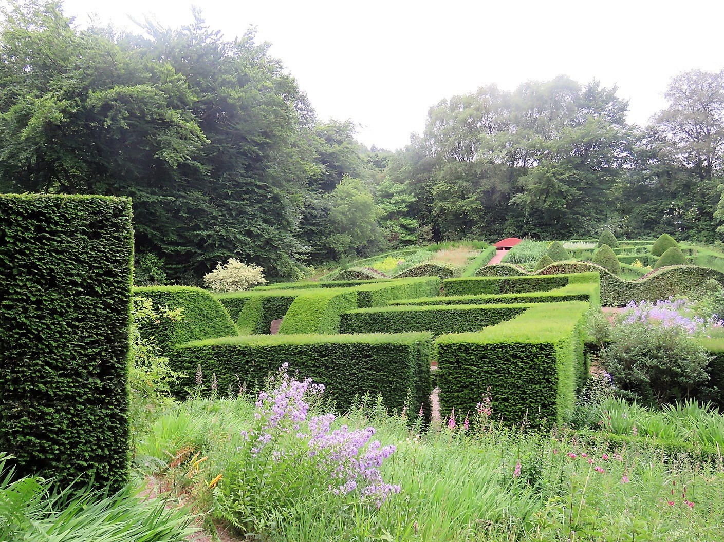 New Wave Hedging | Tikorangi The Jury Garden