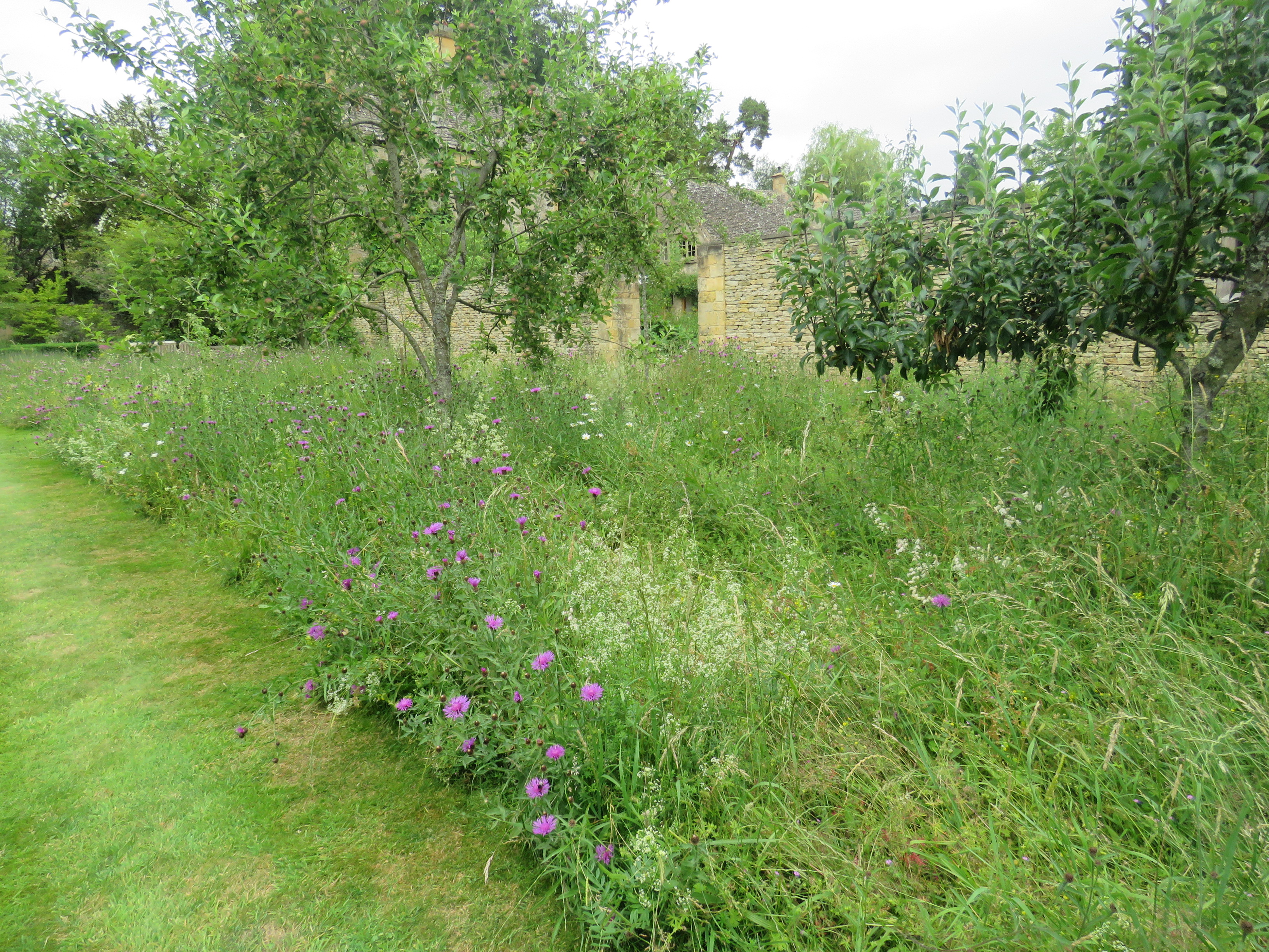 Meadow, meadow. Three meadow styles. | Tikorangi The Jury Garden