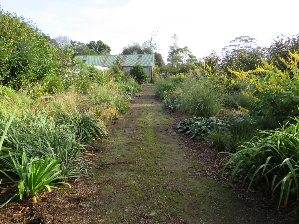 Learning from experience: gardening with bigger grasses in NZ ...