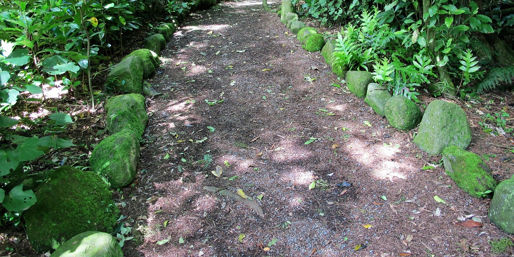 About gardening at the edges – edging options | Tikorangi The Jury Garden