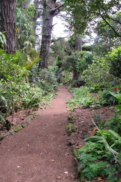 Matrix planting – a skill worth pursuing | Tikorangi The Jury Garden