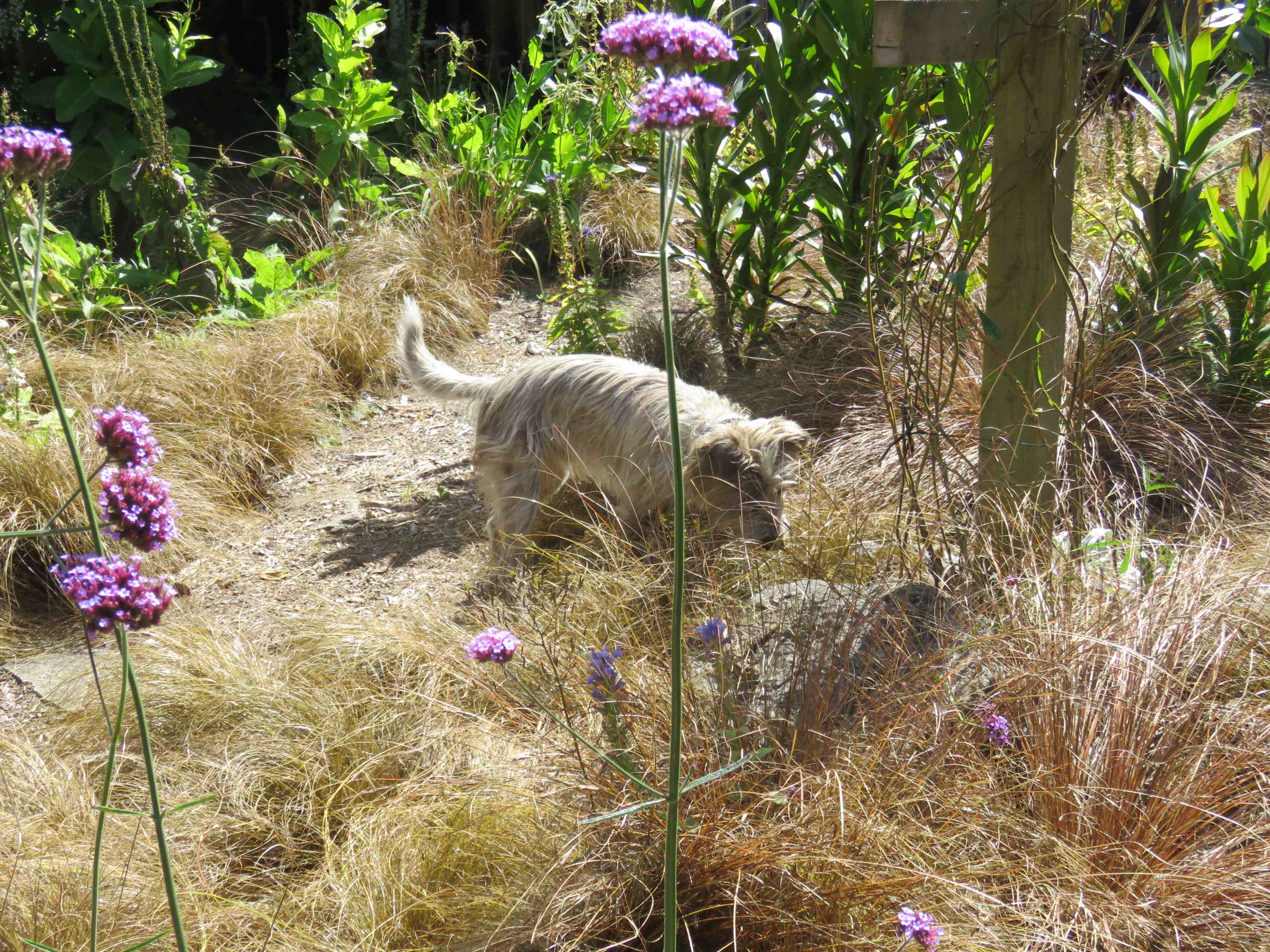 Tikorangi The Jury Garden | Mark and Abbie Jury