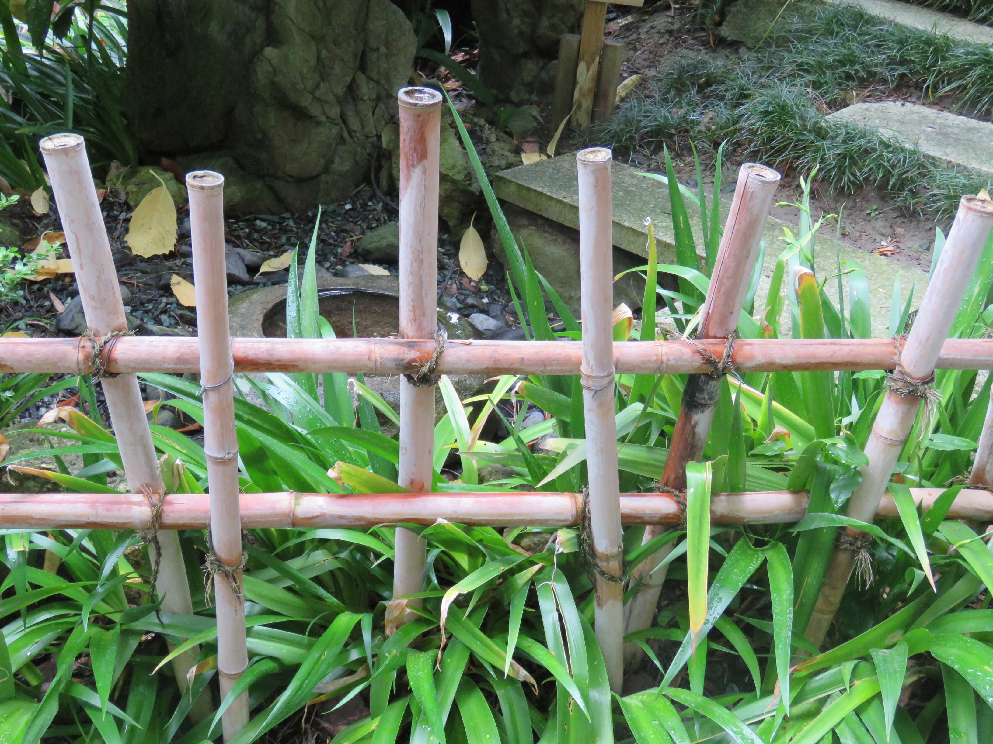 Tikorangi The Jury Garden | Mark and Abbie Jury