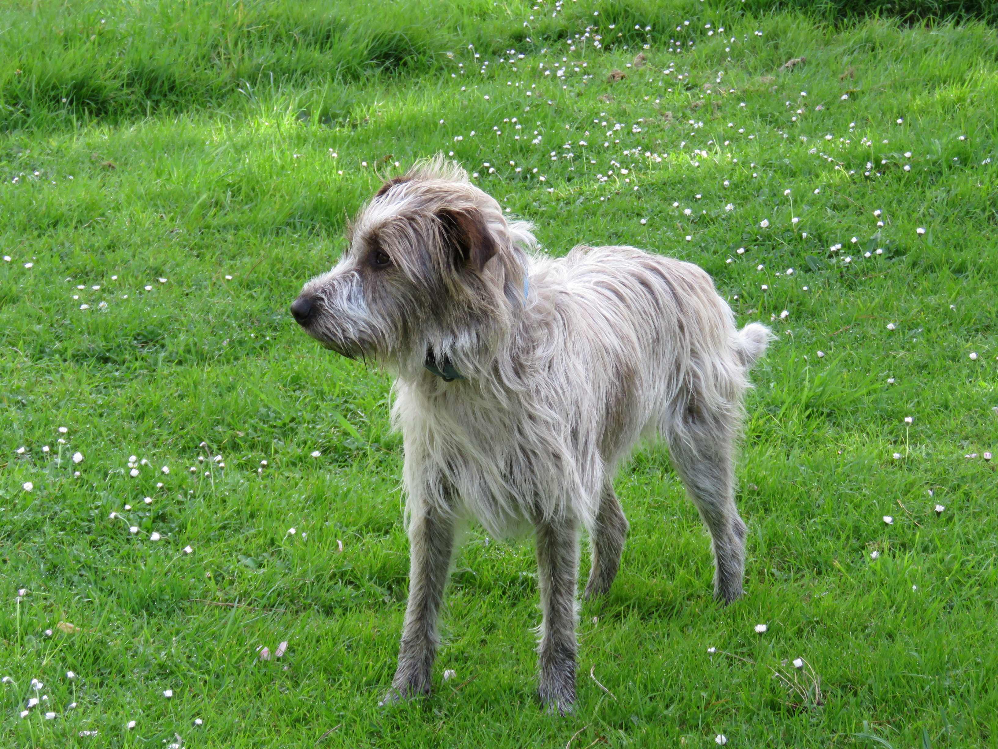 Tikorangi The Jury Garden | Mark and Abbie Jury | Page 4