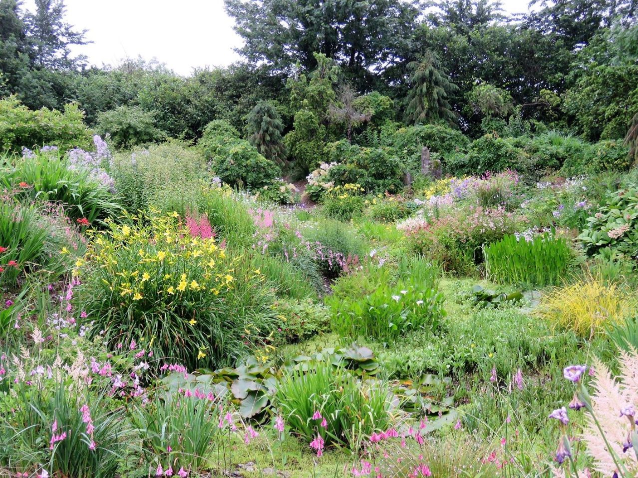 Abbie’s column | Tikorangi The Jury Garden