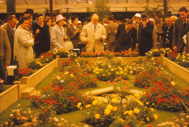 Tikorangi: The Jury garden | Tikorangi The Jury Garden